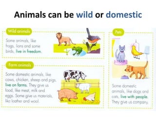 Unit 4 (animals) | PPSX