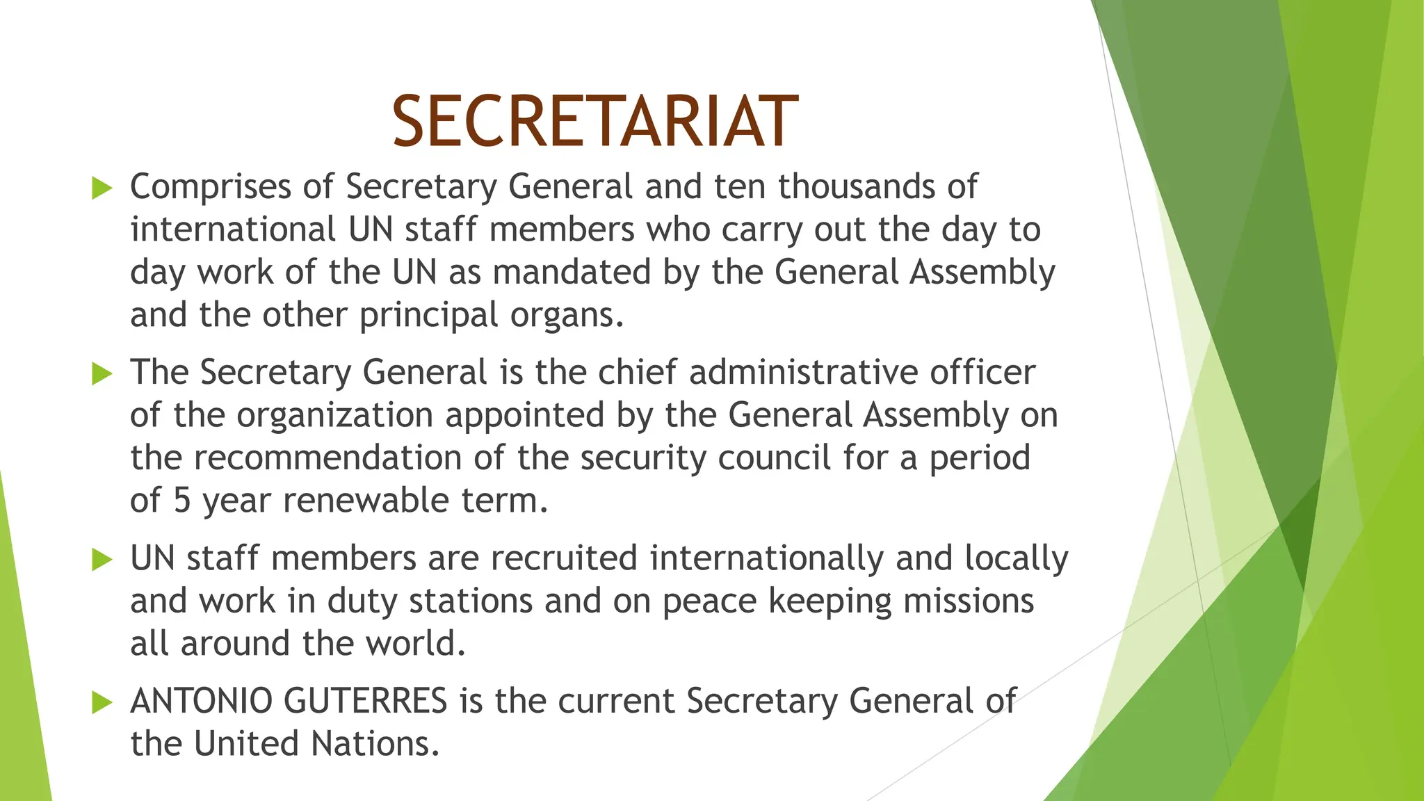 United Nations organisations and its organs .pptx