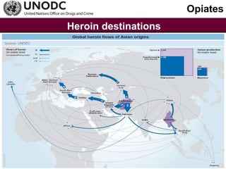 UNODC.pptx