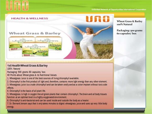 Uno powerpoint presentation complete | PPT