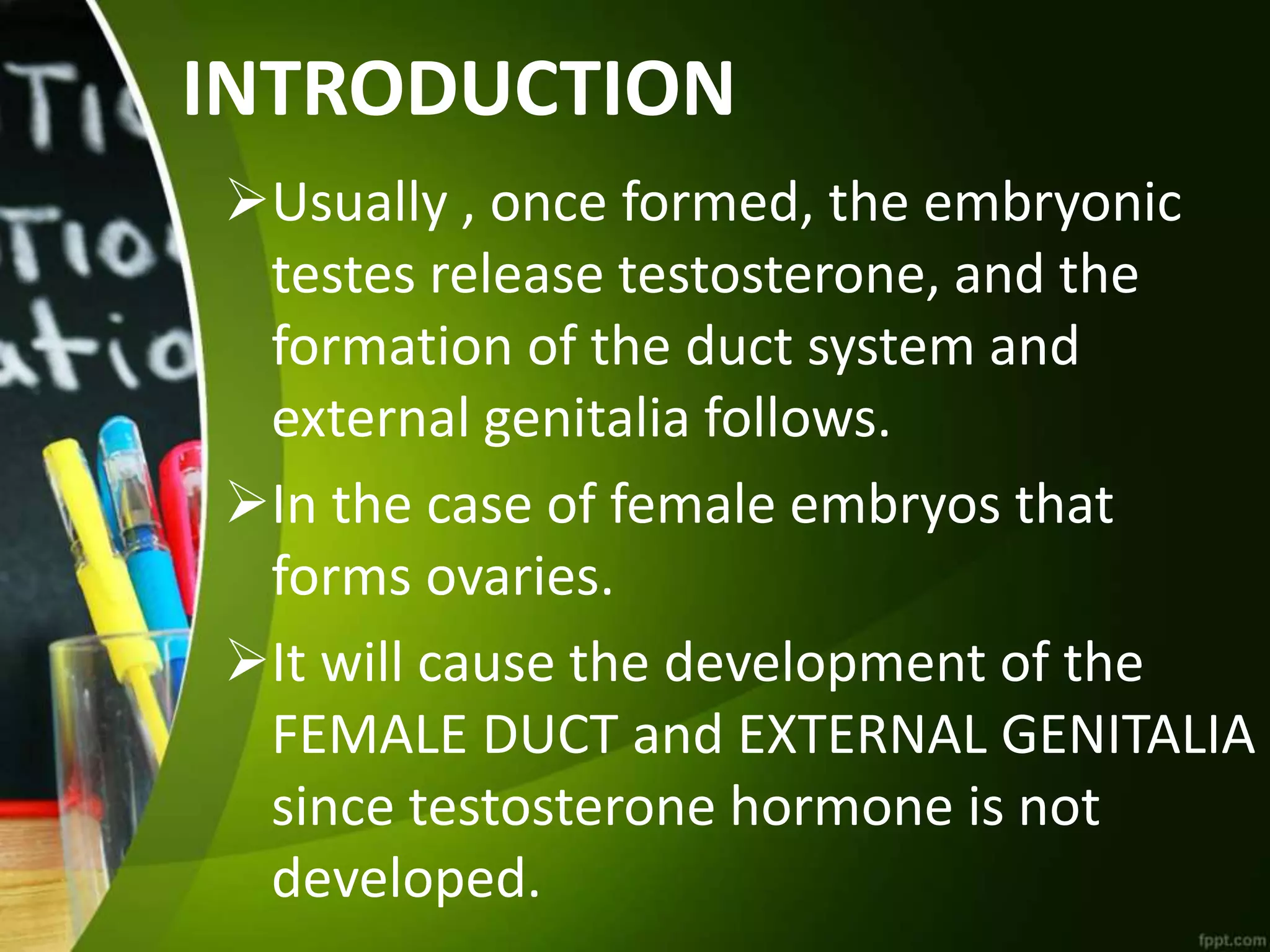 unpacking the self.pptx