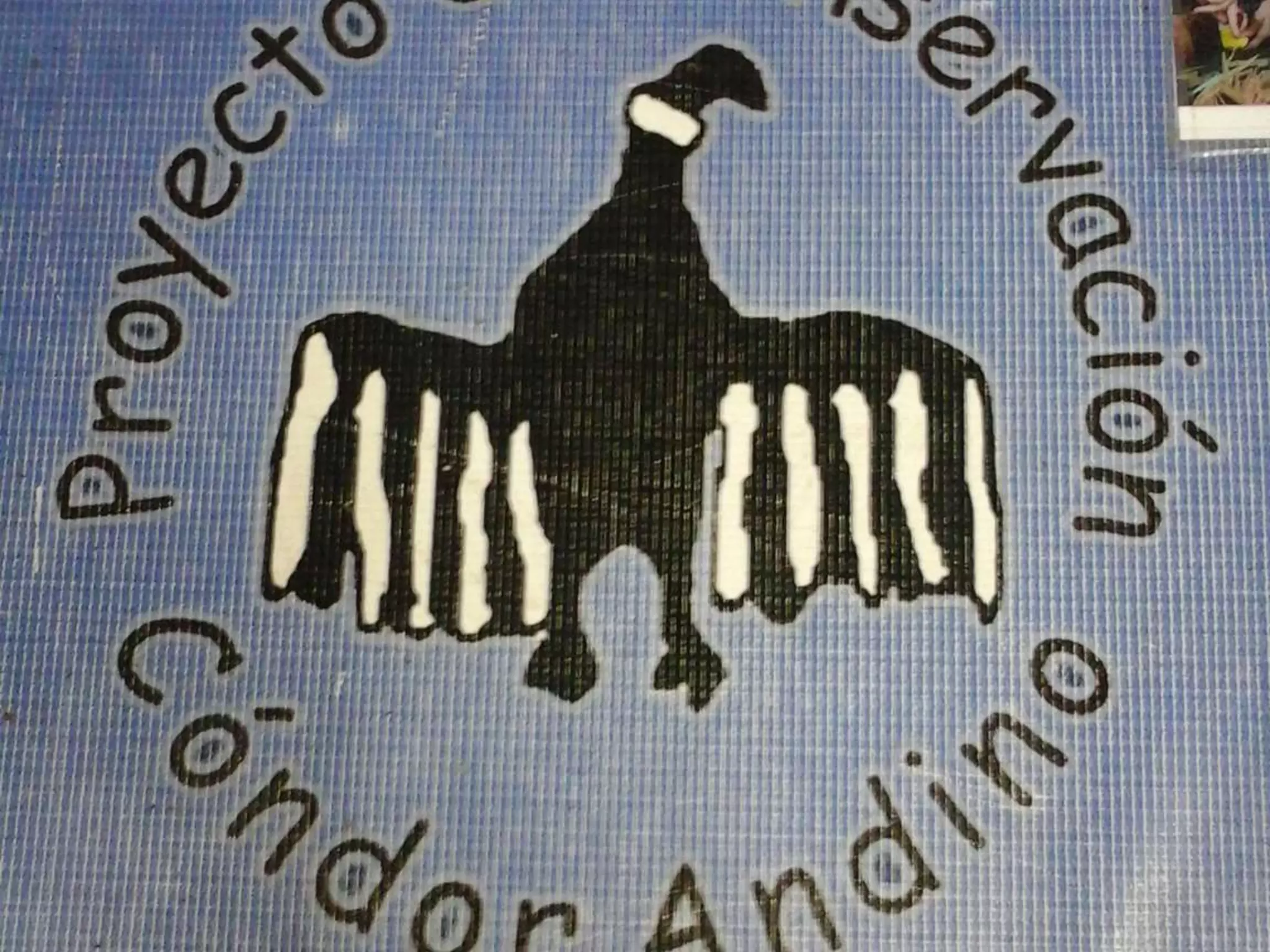 Un paseo por el zoológico de buenos aires 6to | PPT