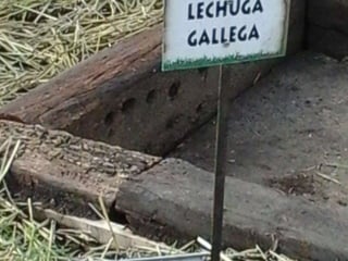 Un paseo por el zoológico de buenos aires 6to | PPTX