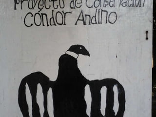 Un paseo por el zoológico de buenos aires 6to | PPTX