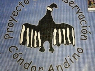 Un paseo por el zoológico de buenos aires 6to | PPTX