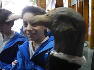 Un paseo por el zoológico de buenos aires 6to | PPTX