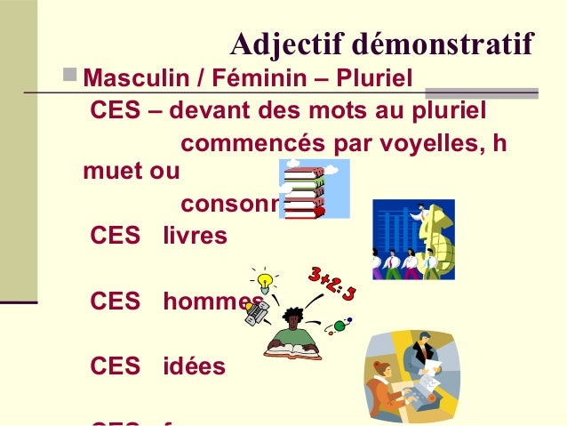 Un peu de grammaire les adjectifs demonstratifs