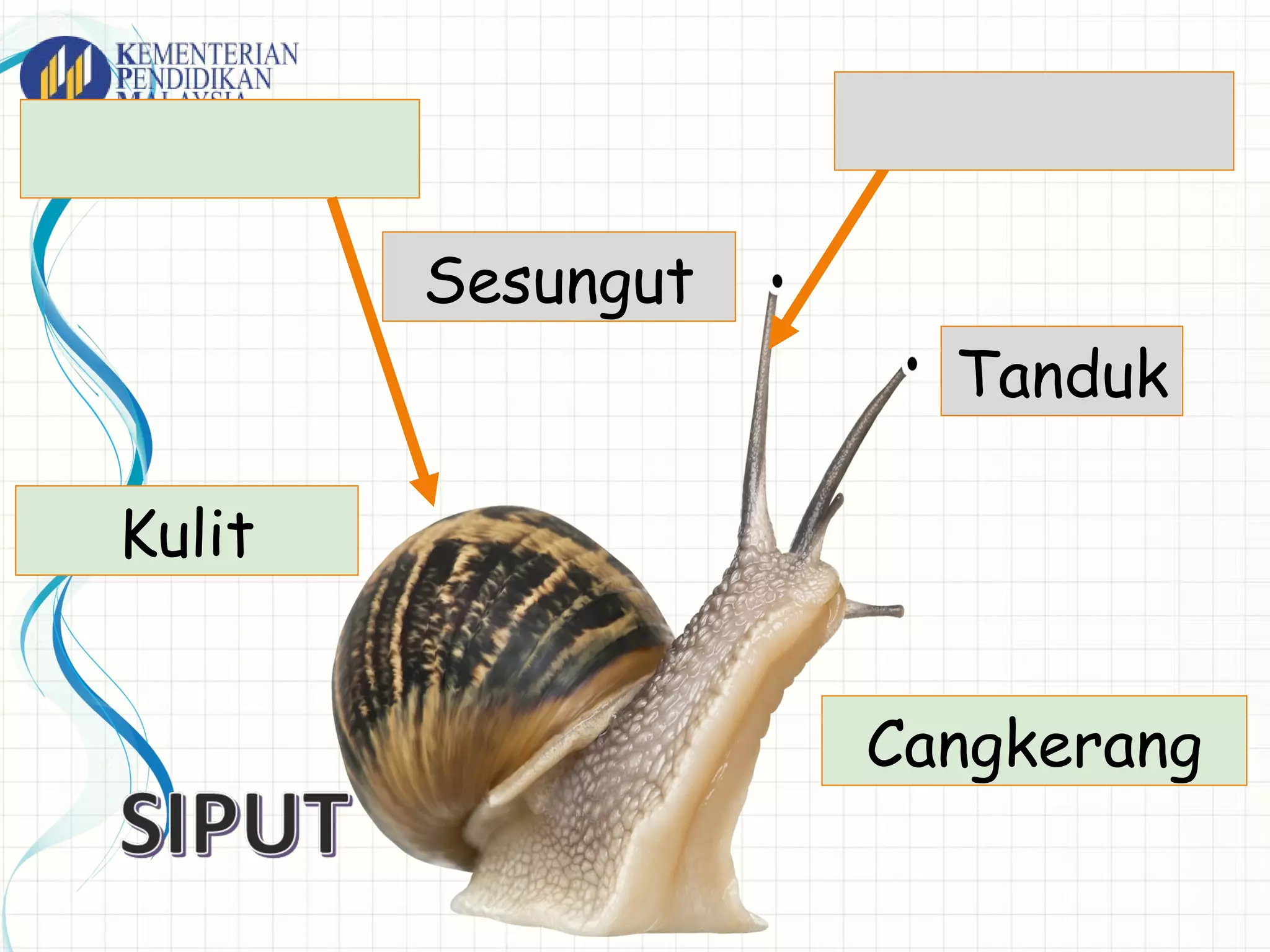 Unplugged activities | PPT