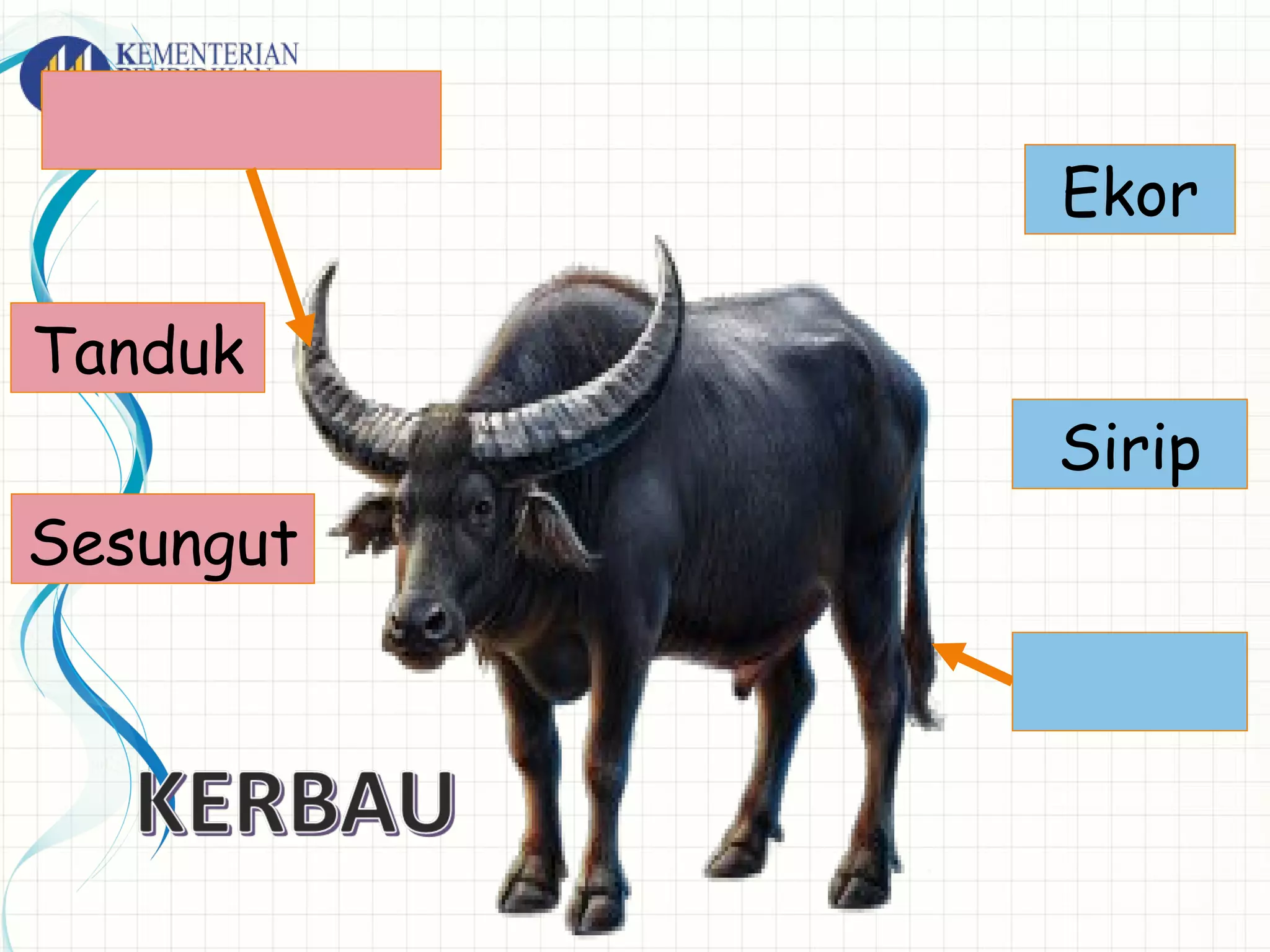 Unplugged activities | PPT