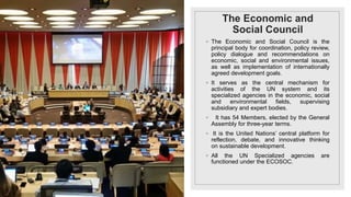 The United Nations- Summary | PPTX