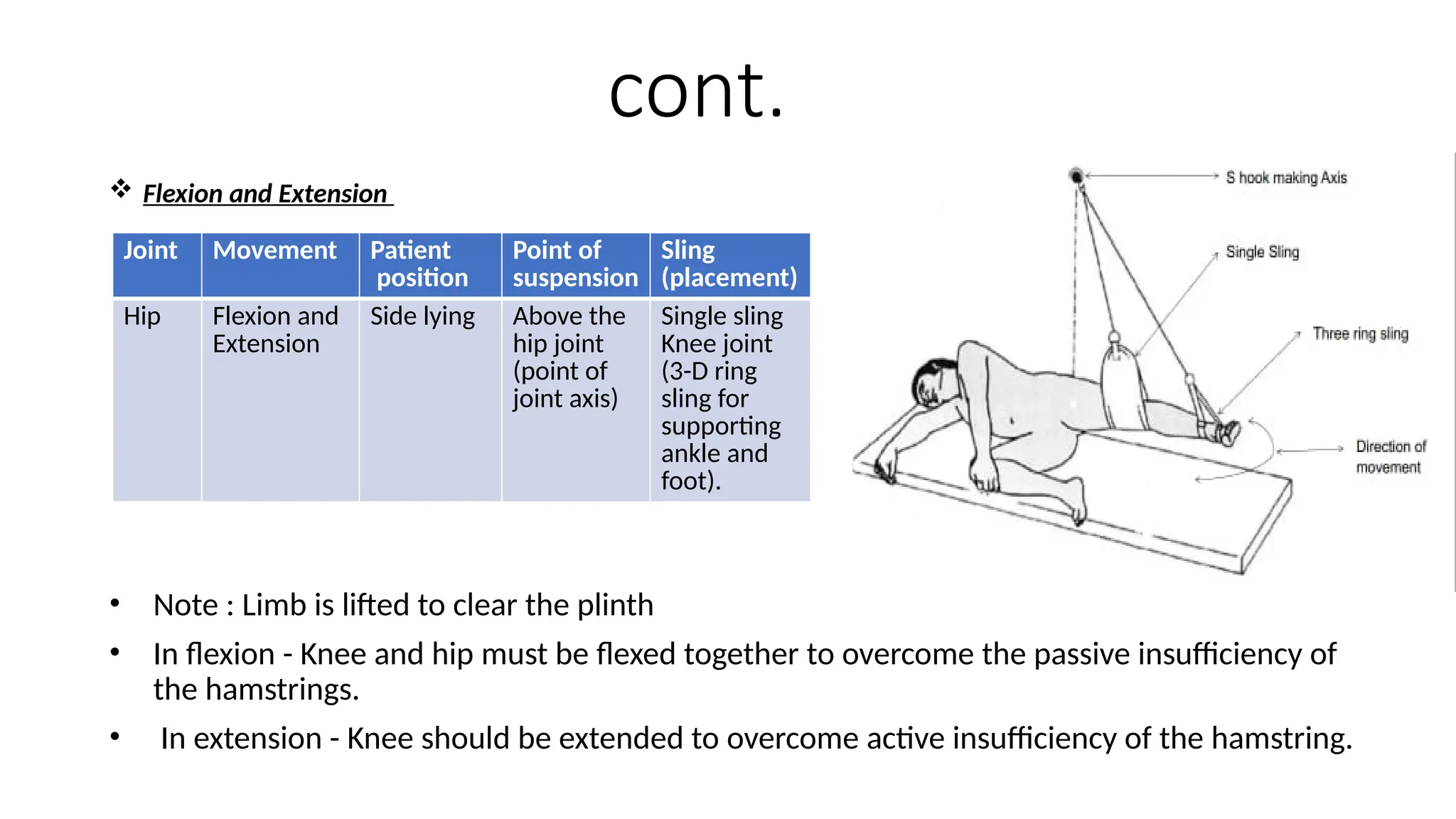 Suspension Therapy Hip Joint. Physiotherapy | PPTX