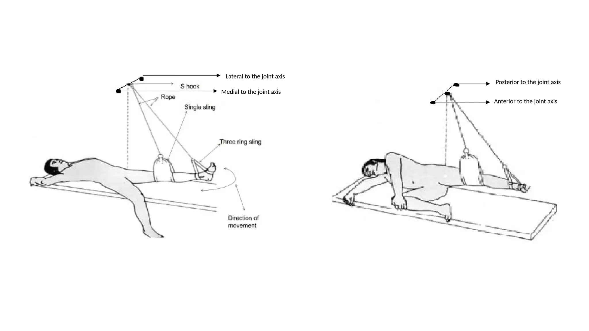 Suspension Therapy Hip Joint. Physiotherapy | PPTX