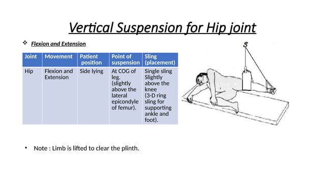 Suspension Therapy Hip Joint. Physiotherapy | PPTX