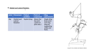 Suspension Therapy Hip Joint. Physiotherapy | PPTX