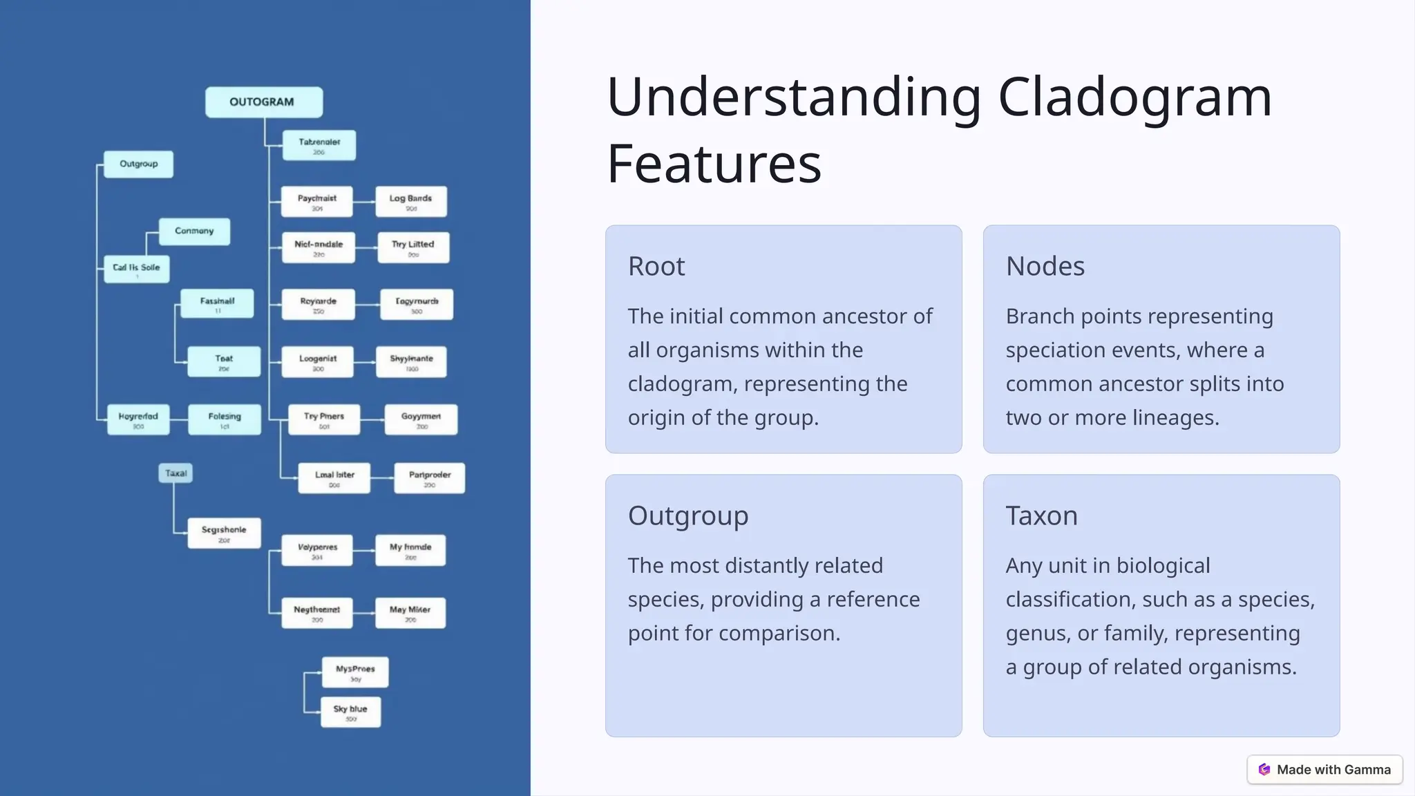 Unraveling-Evolutionary-Relationships-A-Cladistic-Approach.pptx