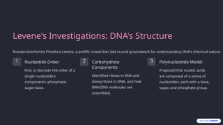Unraveling-the-Helix-Watson-and-Cricks-Legacy.pptx