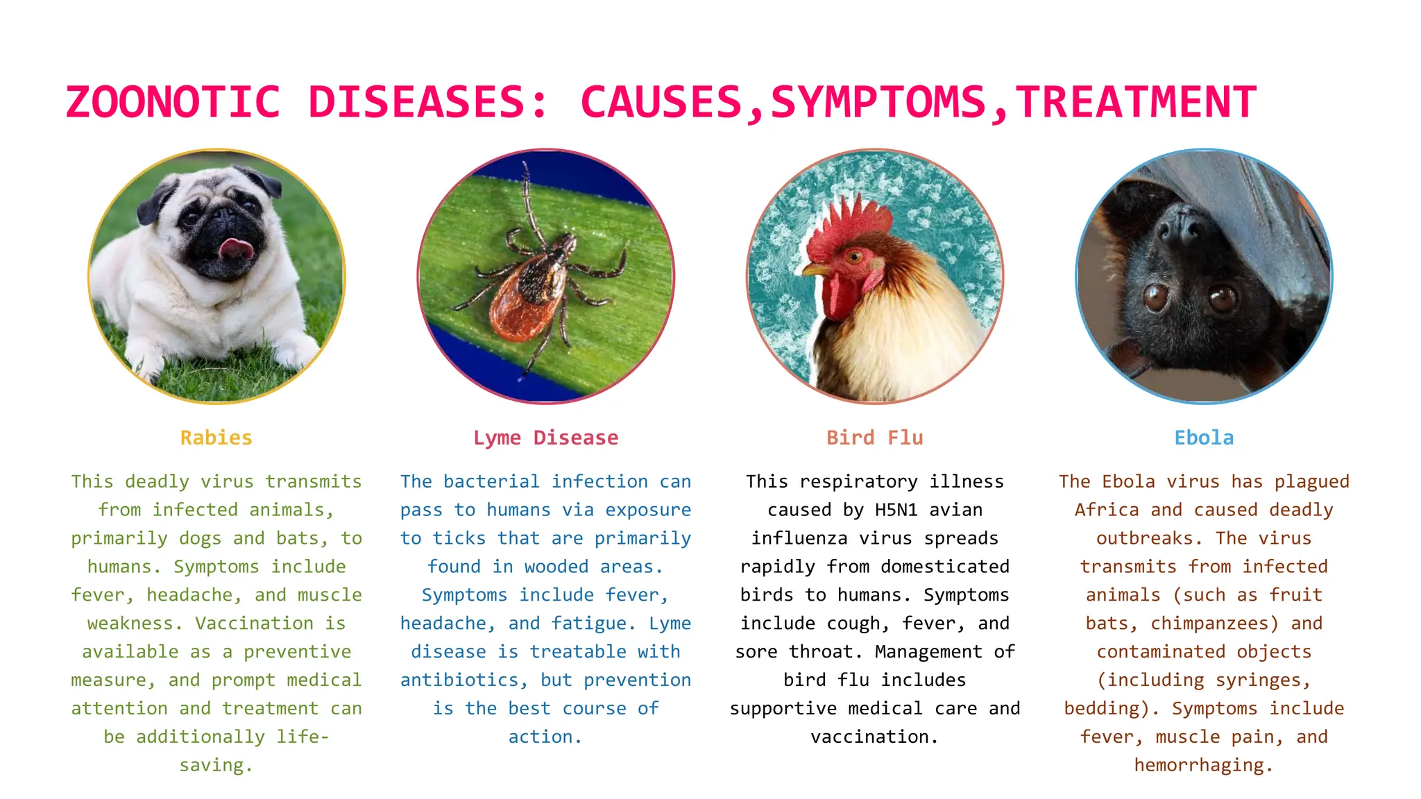 Unraveling-Zoonotic-Diseases-on-World-Zoonoses-Day-2023.pptx