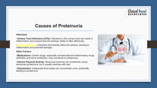 Unraveling the Enigma of Proteinuria A Deep Dive into Its Connection ...