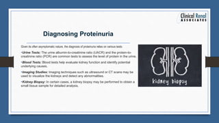 Unraveling the Enigma of Proteinuria A Deep Dive into Its Connection ...