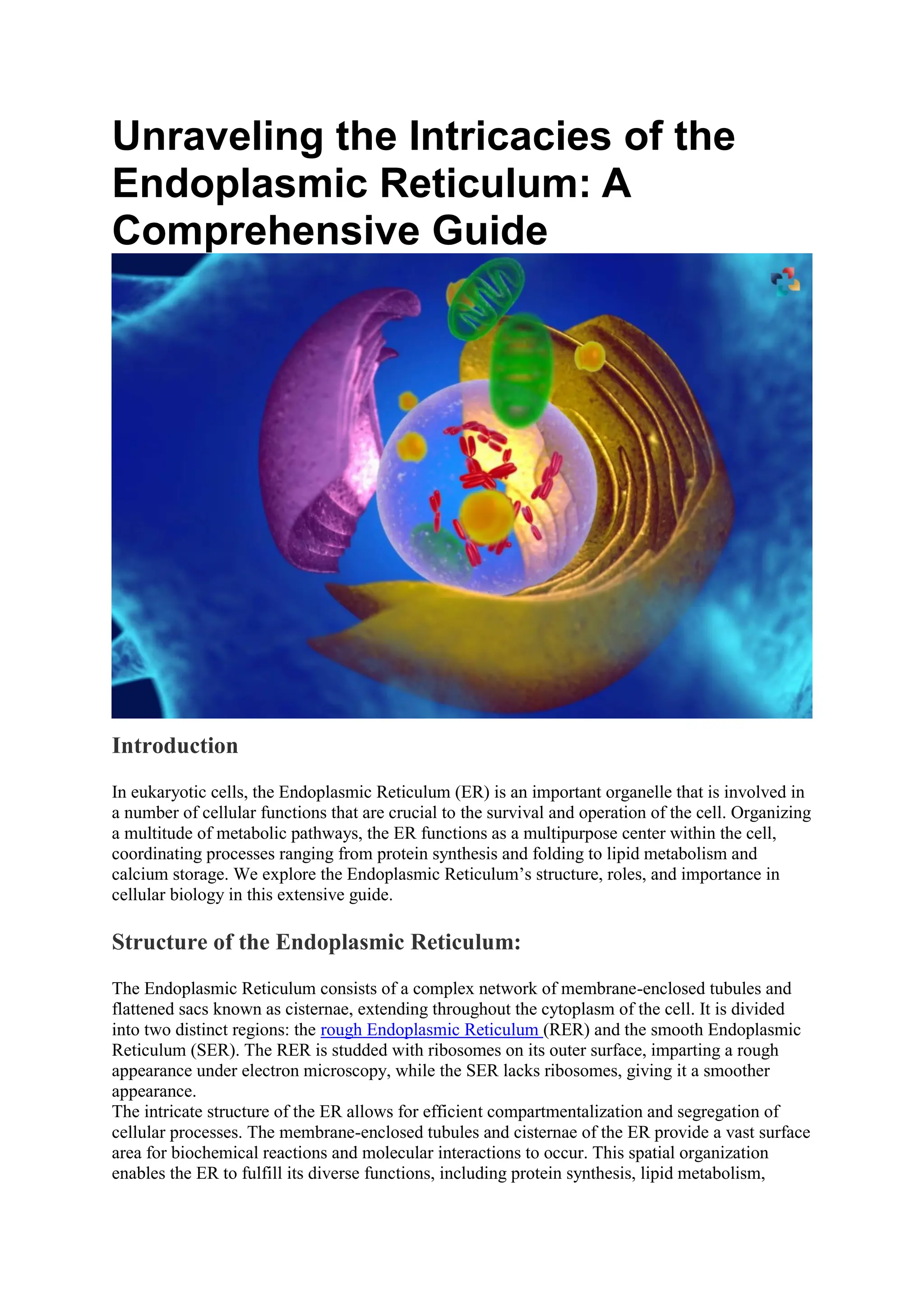 Endoplasmic Reticulum: Structure, Roles, and Importance in Cellular Biology | The Lifesciences ...