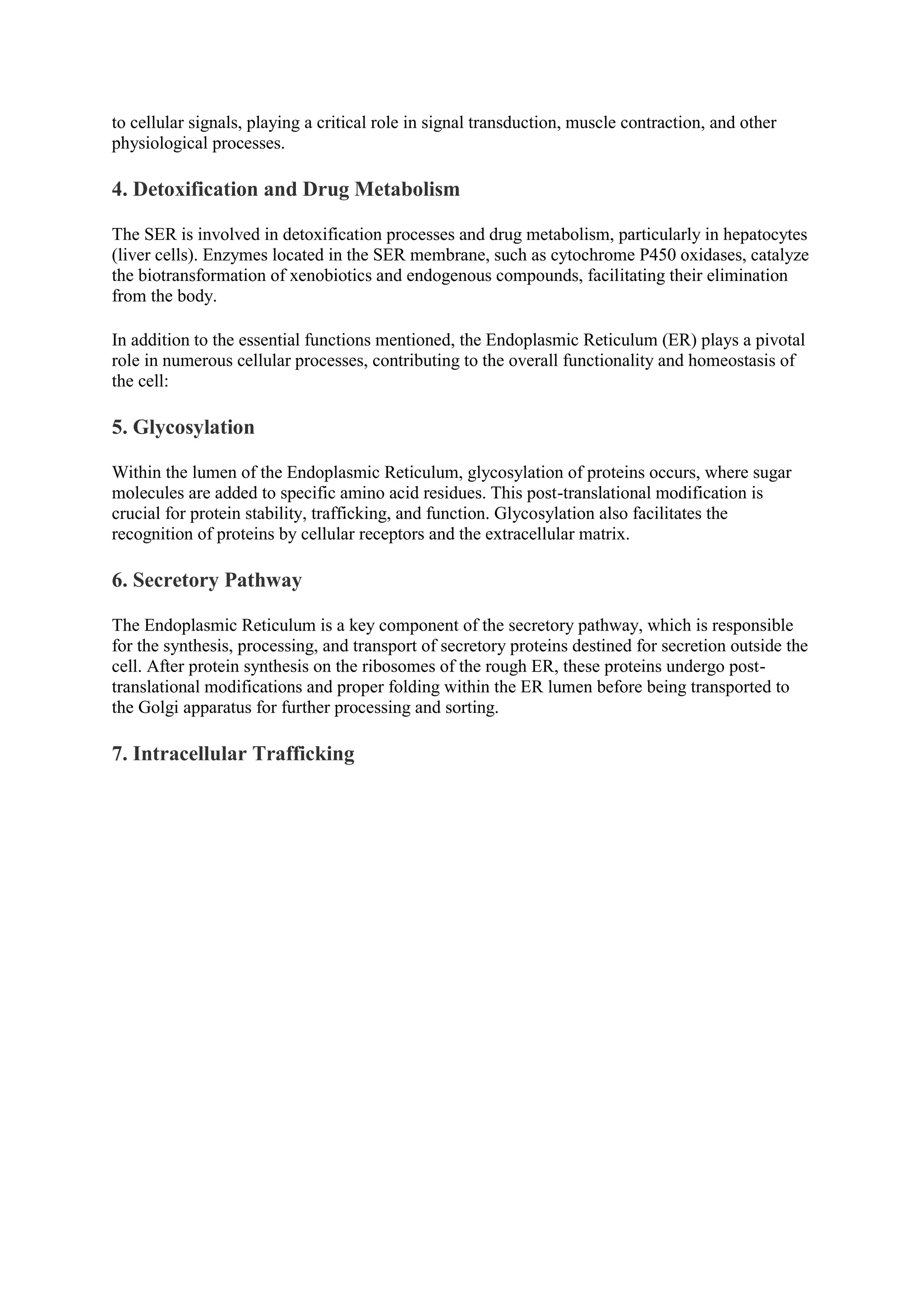 Endoplasmic Reticulum: Structure, Roles, and Importance in Cellular Biology | The Lifesciences ...