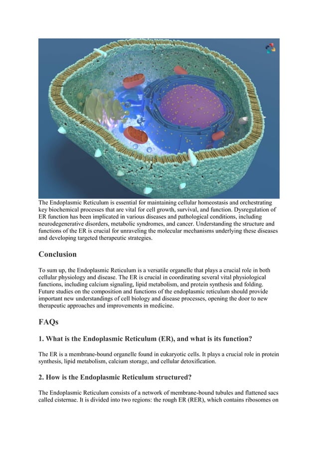 Endoplasmic Reticulum: Structure, Roles, and Importance in Cellular Biology | The Lifesciences ...