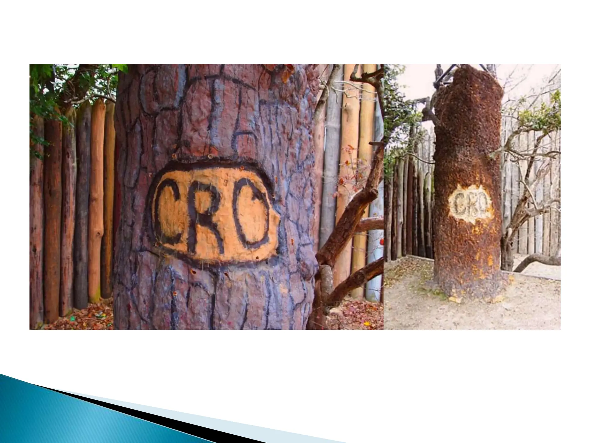 Unraveling the Mystery of Roanoke Colony: What Really Happened? | PPT