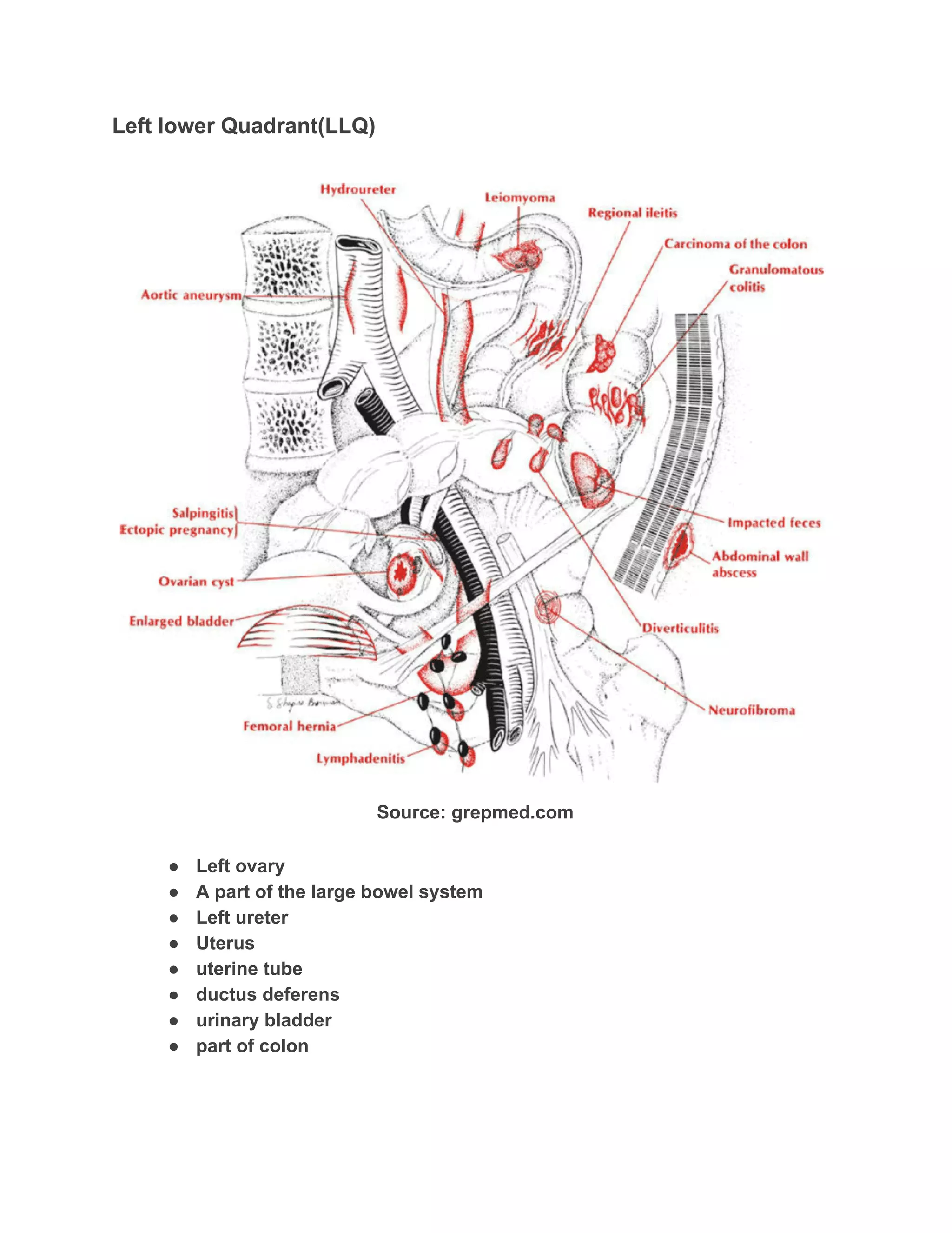 Unravel the mystery of right upper quadrant (ruq) abdominal pain | PDF
