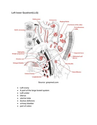 Unravel the mystery of right upper quadrant (ruq) abdominal pain | PDF
