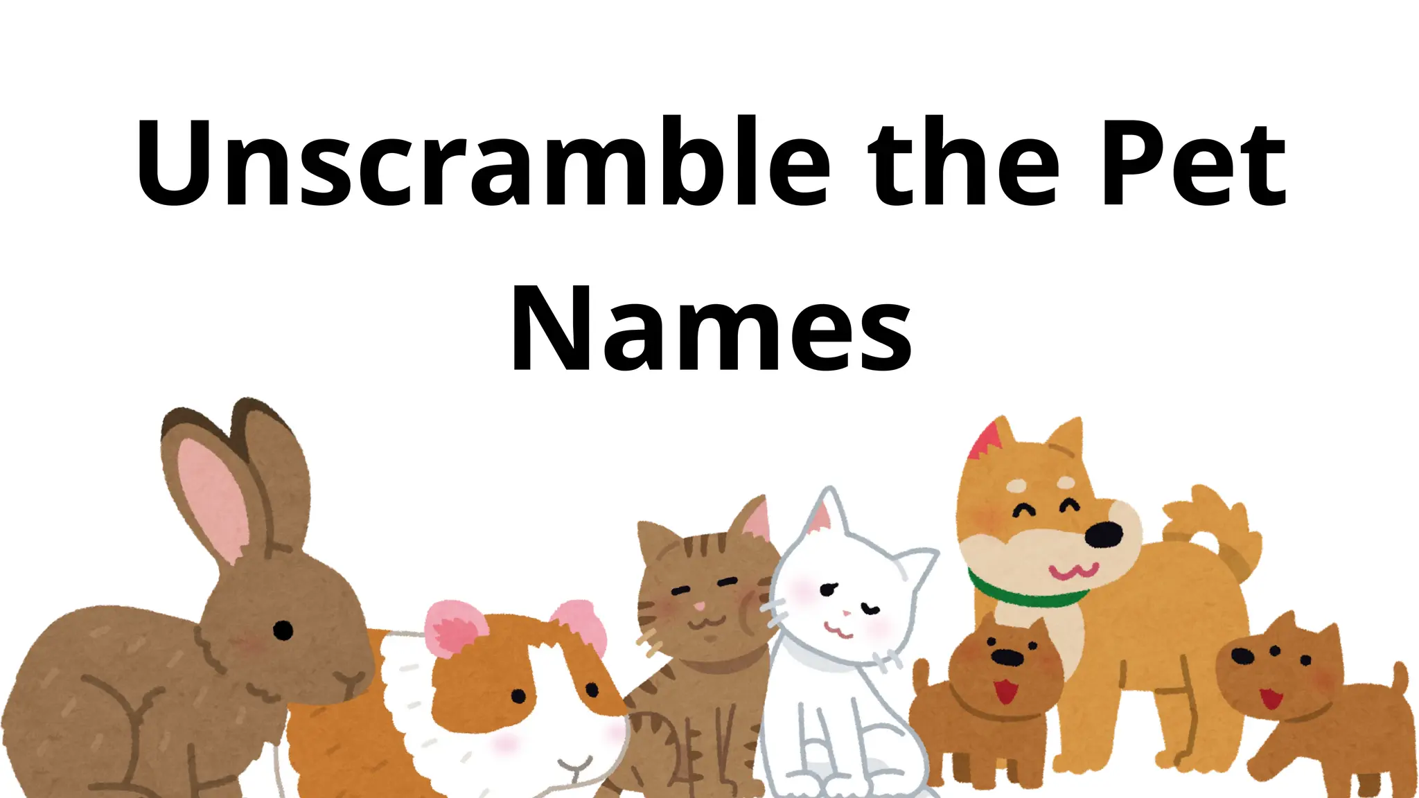 Simple Unscramble Pets Game Presentation.pptx