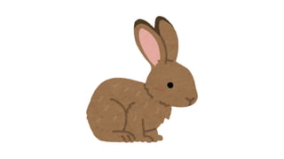 Simple Unscramble Pets Game Presentation.pptx
