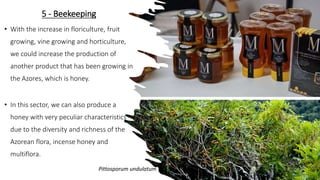 Terceira Island's Self Sustainability in Food Production: UNSDG #2 | PPTX