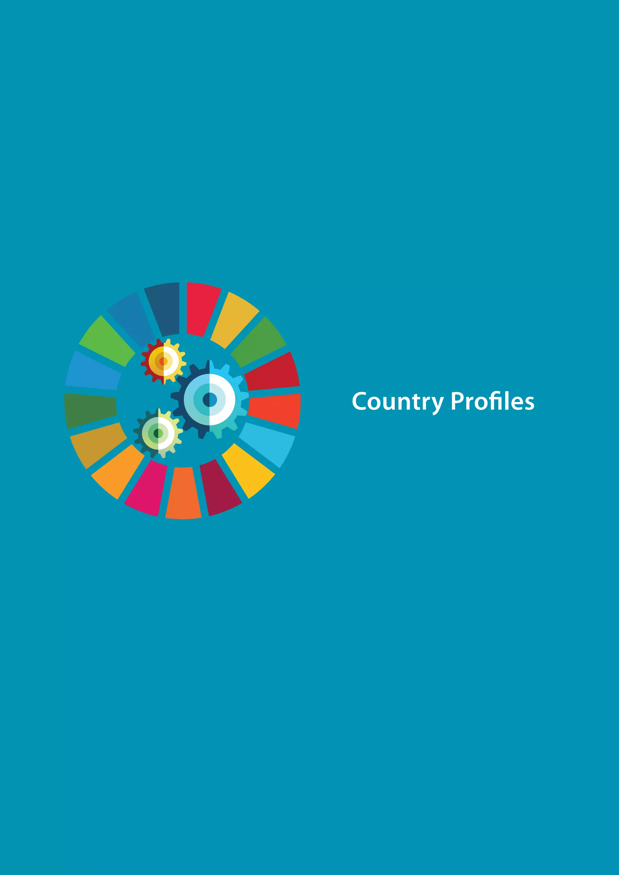UN SDGs G20 summary 2018 report | PDF