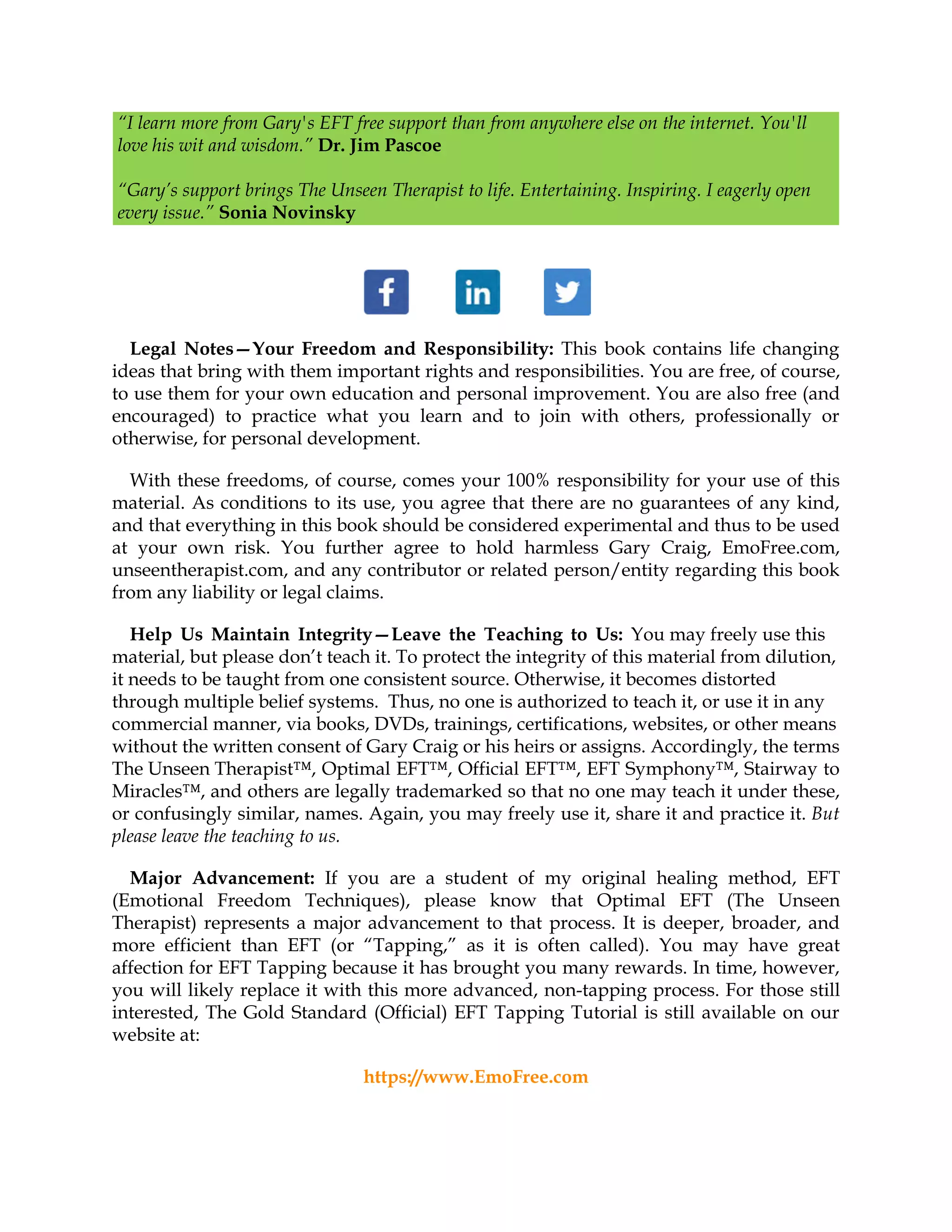 The Unseen Therapist | PDF