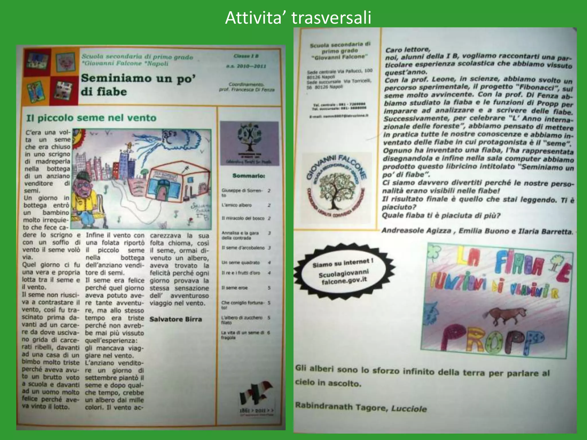 Un seme una pianta classi prime | PPSX