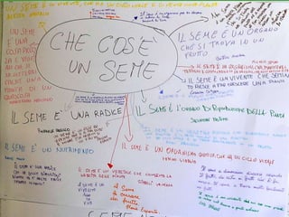 Un seme una pianta classi prime | PPSX