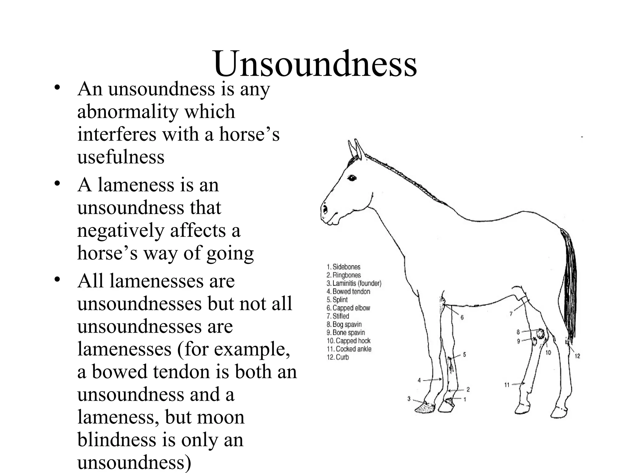 Unsoundnesses | PPT