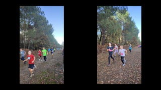 UNSS Cross district.pdf