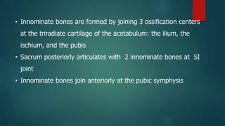 Unstable Pelvic Fracture Presentation | PPTX