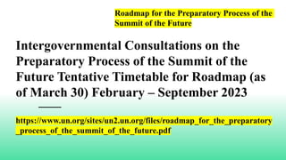 UN Summit of the Future 2024 | PDF