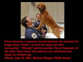 Unsung Heroes of 911 | PPTX