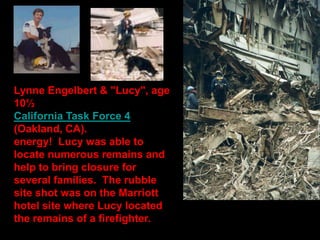 Unsung Heroes of 911 | PPTX