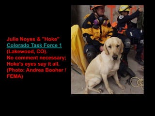 Unsung Heroes of 911 | PPTX