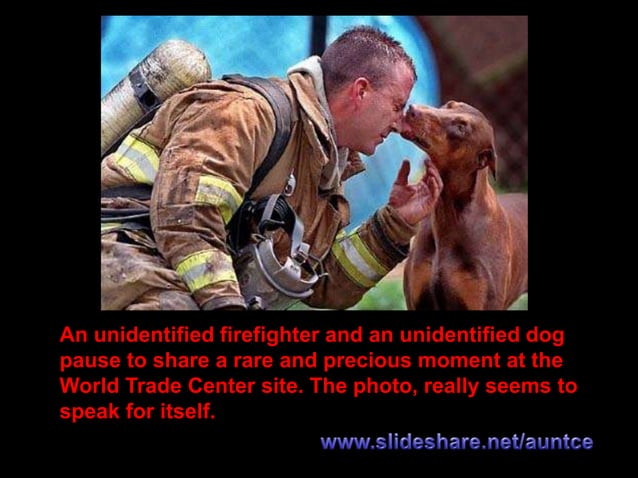 Unsung Heroes of 911 | PPT