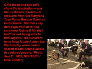 Unsung Heroes of 911 | PPTX