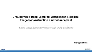 Unsupervised deep learning methods for biological image reconstruction ...