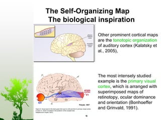 Self-organizing maps - Tutorial | PDF