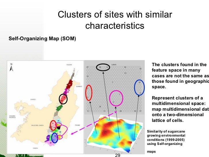 Self Organizing Maps Tutorial