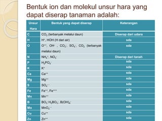 Unsur Hara. pada tanah dan yg dibutuhkan ole tanamanpptx | PPTX