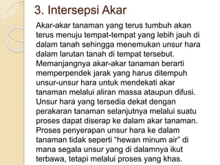 Unsur Hara. pada tanah dan yg dibutuhkan ole tanamanpptx | PPTX